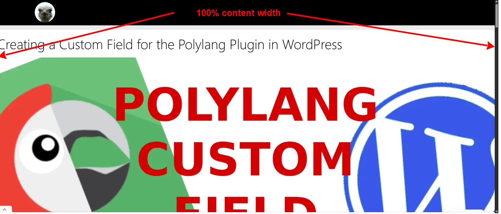 How to Make Full-Width Content in the WordPress – Ostrich blog