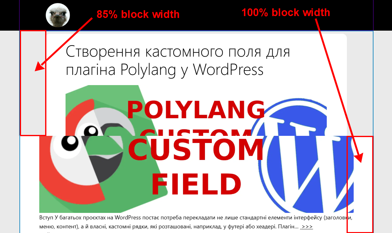 How to Make Full-Width Content in the WordPress – Ostrich blog